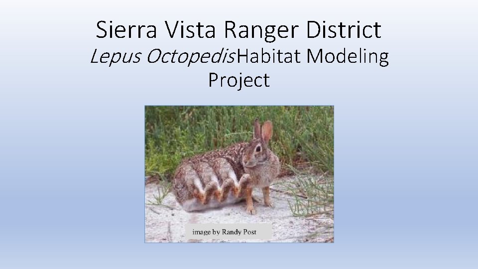 Sierra Vista Ranger District Lepus Octopedis Habitat Modeling