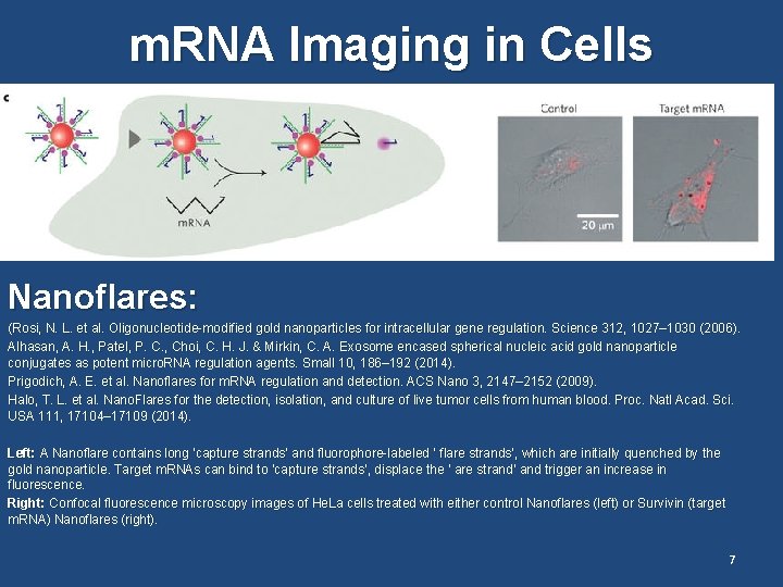 Imaging in Cells via DNA Device Technology DNAPAINT
