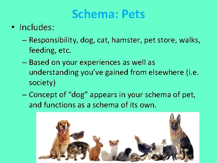 What is Cognition Cognition is our ability to