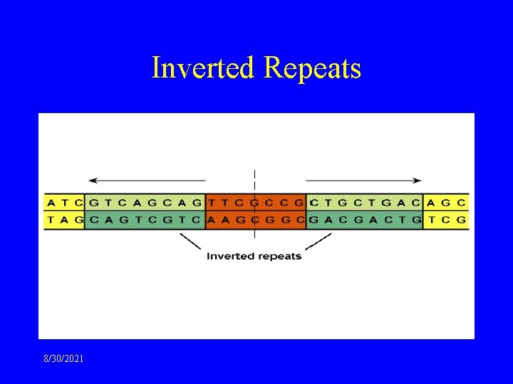 Molecular Biology 8302021 Prokaryotes No Nucleus Circular Chromosome