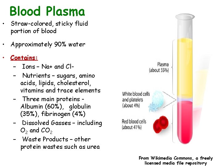 Human Biology BIOL 104 Talk Seven Blood and