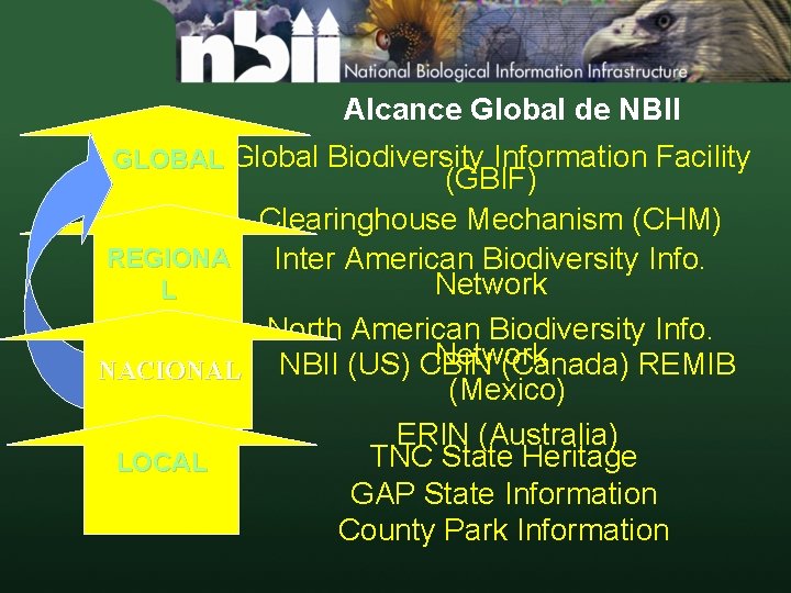 Infraestructura Nacional de Informacin Biolgica NBII Descripcin Del