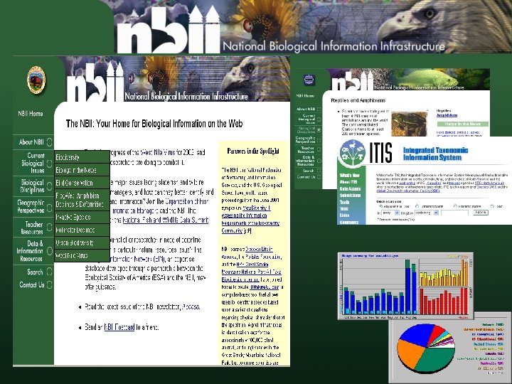 Infraestructura Nacional de Informacin Biolgica NBII Descripcin Del