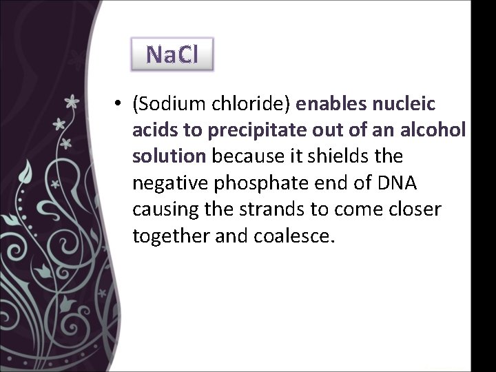 Practical Of Genetics Lab 6 DNA extraction from