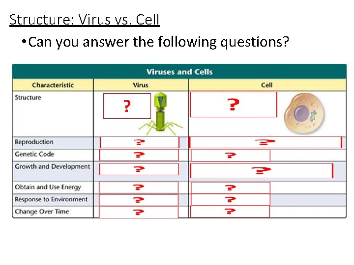 Viruses TEK 4 C Compare structures of viruses