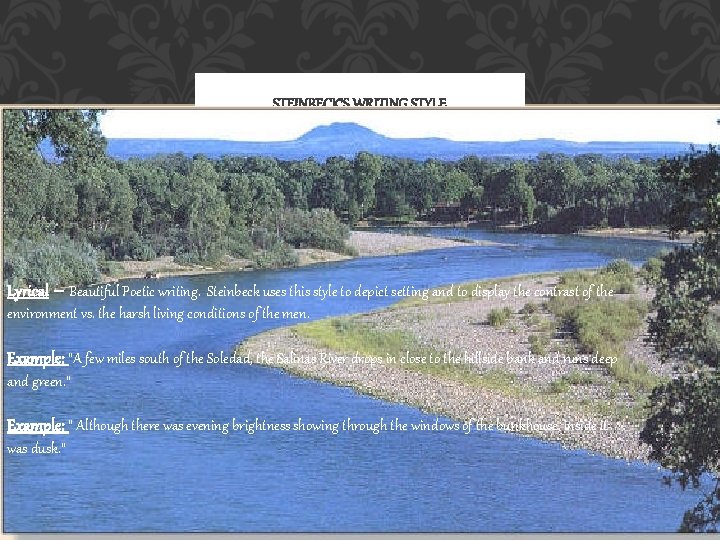 STEINBECKS WRITING STYLE Lyrical Beautiful Poetic writing Steinbeck