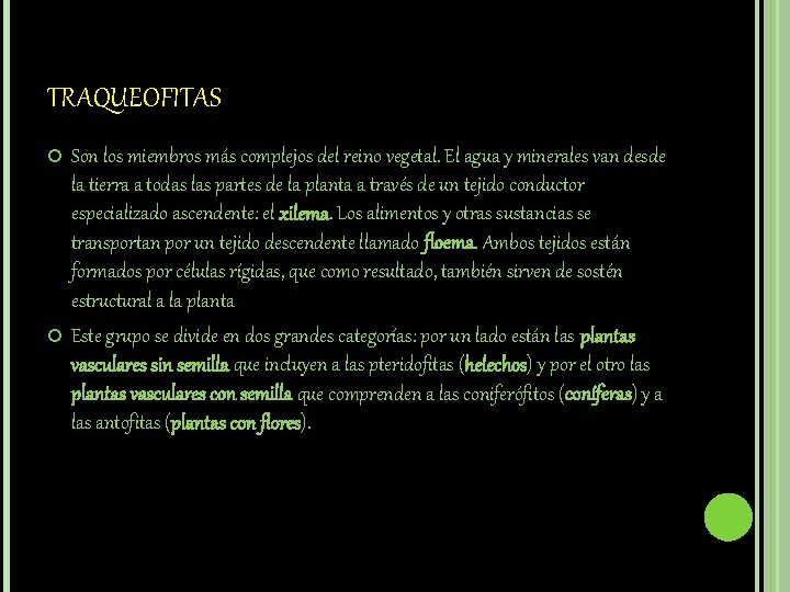 REINO VEGETAL El reino PLANTAE O VEGETAL abarca