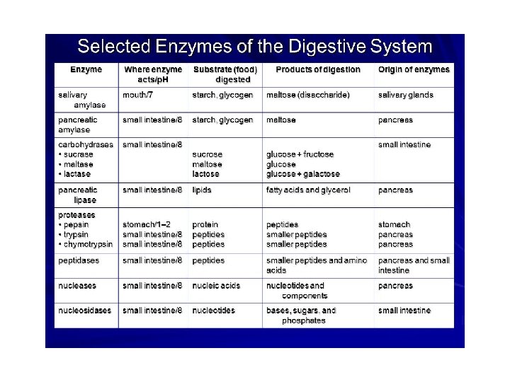 DIGESTIVE SYSTEM Peritoneum Membrane of the abdominal cavity