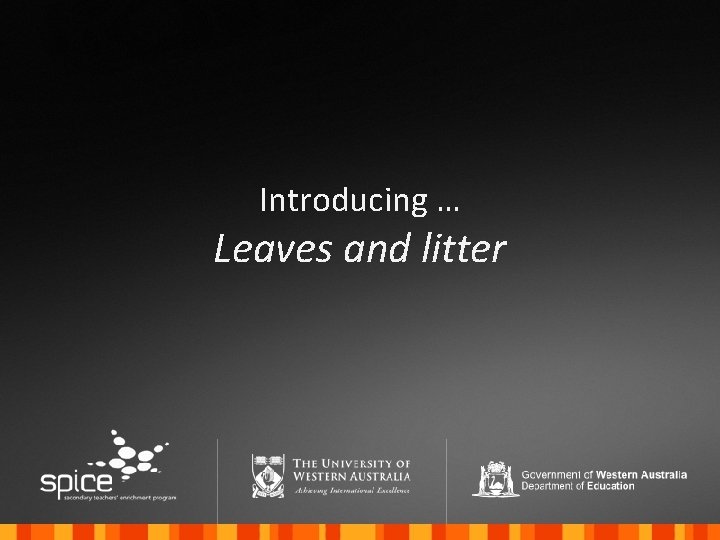 Introducing Leaves and litter Two types of litter