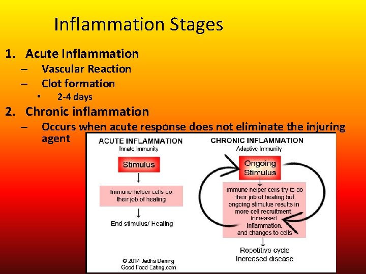 Tissue Response to Injury Pages 272 292 Objectives