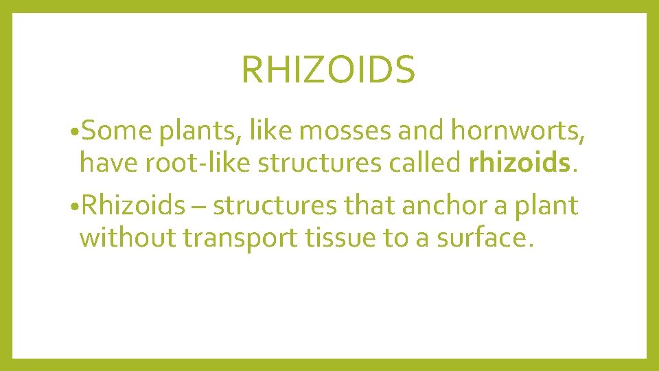 PLANTS What is a plant Humans depend on