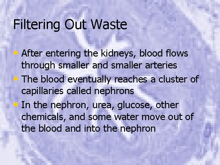 The Excretory System Excretory System Why do our