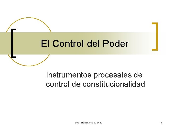 El Control del Poder Instrumentos procesales de control