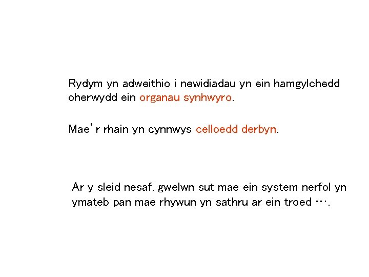 Y System Nerfol Bioleg Uned 2 5 Dyfarniad