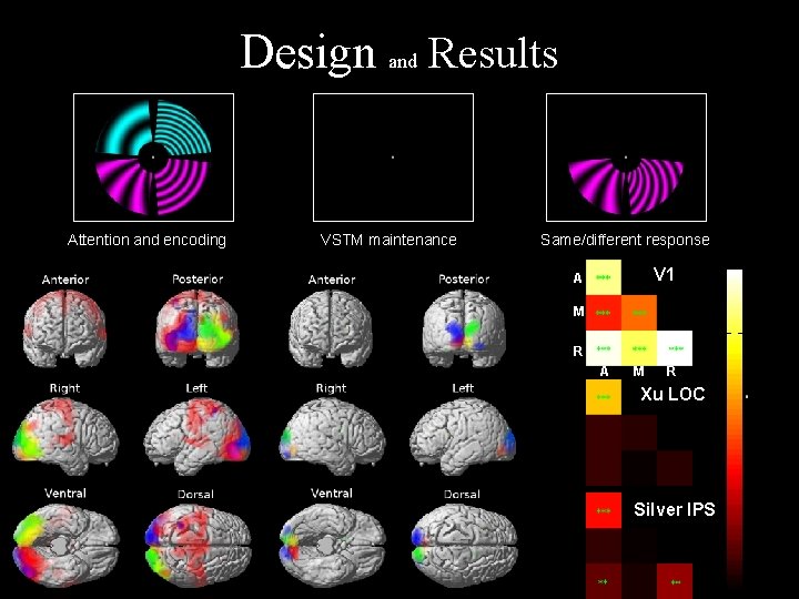 Retinotopy VSTM vs Attention Alejandro VicenteGrabovetsky and Rhodri