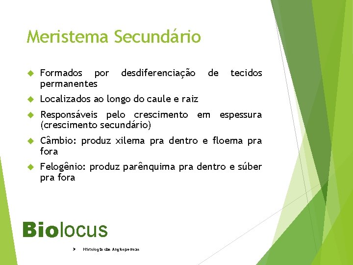 Biolocus Histologia das Angiospermas Histologia Vegetal Tecidos ...