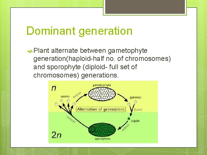 Biodiversity of plants Properties of kingdom Plantae Cell