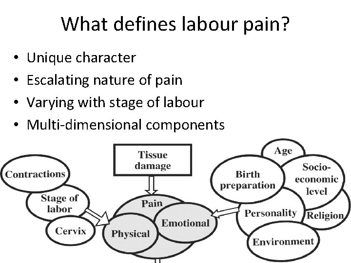 LABOUR ANALGESIA Dr Jayshri Desai Professor Dept of