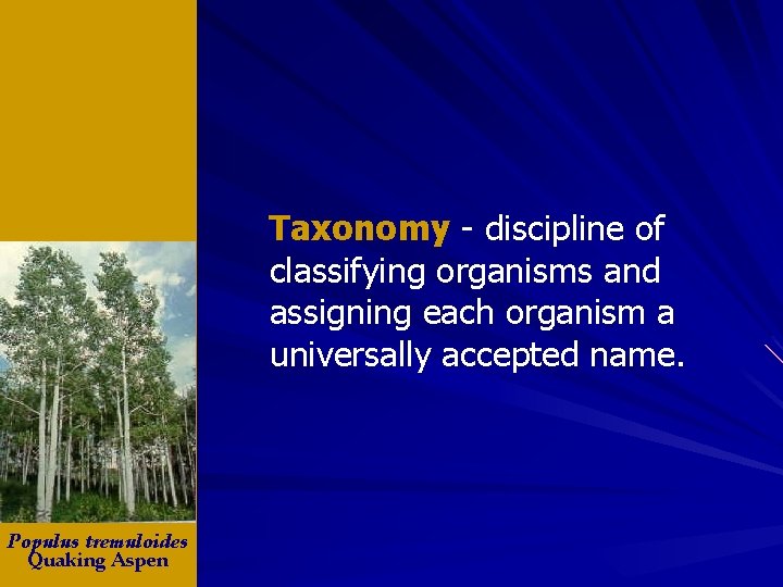 Taxonomy Biological Classification To study the diversity of