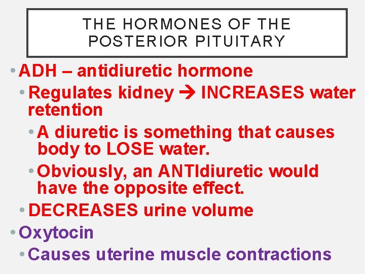 THE ENDOCRINE SYSTEM AP Biology Ms Day WHAT