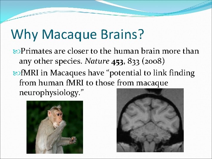 Exploring the neural basis of cognition multimodal links