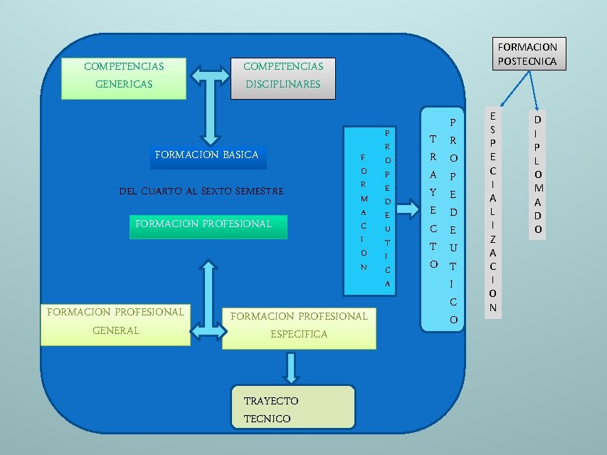 CONALEP PROFESIONAL BASICA COMPETENCIA GENERICAS COMPETENCIAS ...
