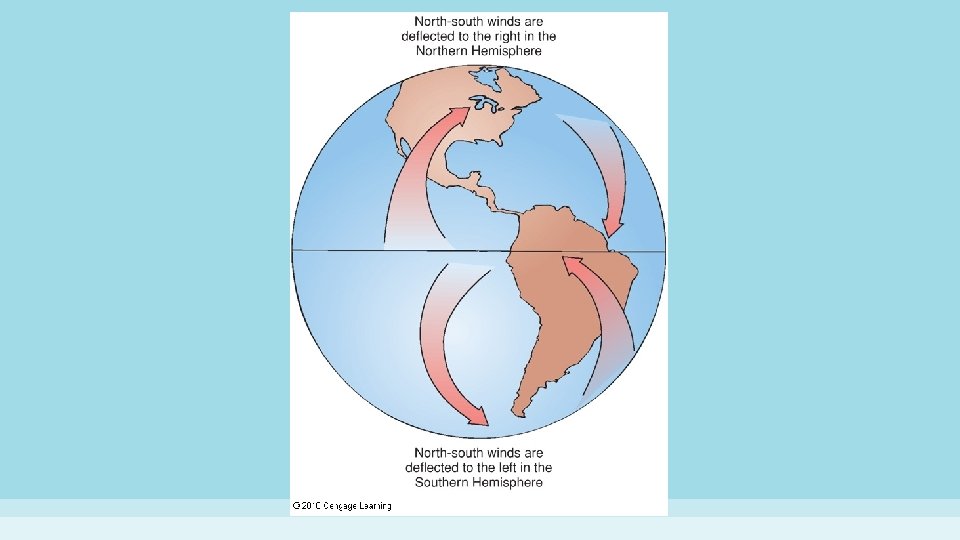 Chapter 4 Section 3 Ms Halbohm Marine Biology