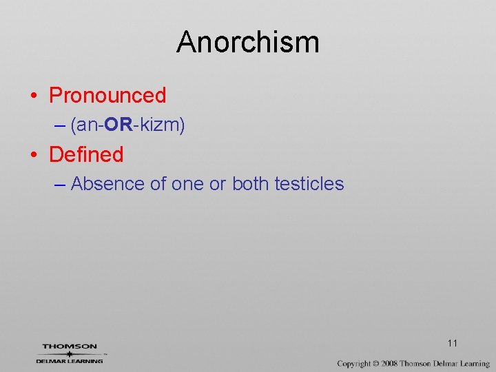 CHAPTER 16 Male Reproductive System Male Reproductive System