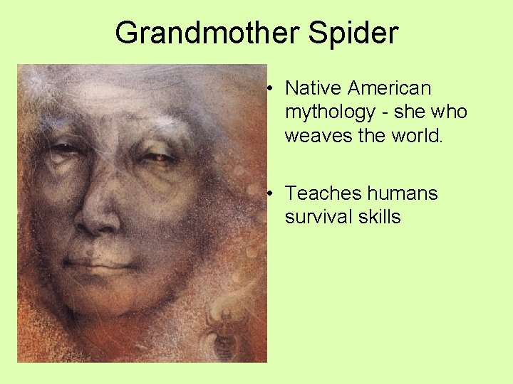 Spiders Archetypal Dimensions Mythology and Symbolism Mythology Myth