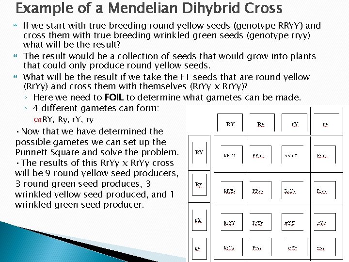 Unit 5 Genetics Lesson 3 Solving Mendelian Genetics