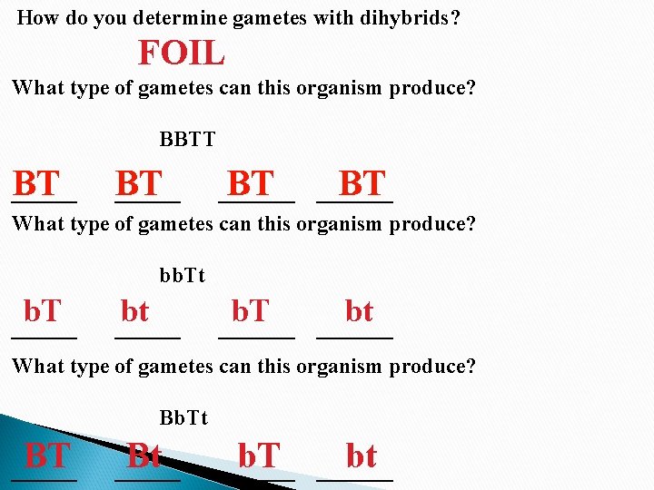 Unit 5 Genetics Lesson 3 Solving Mendelian Genetics