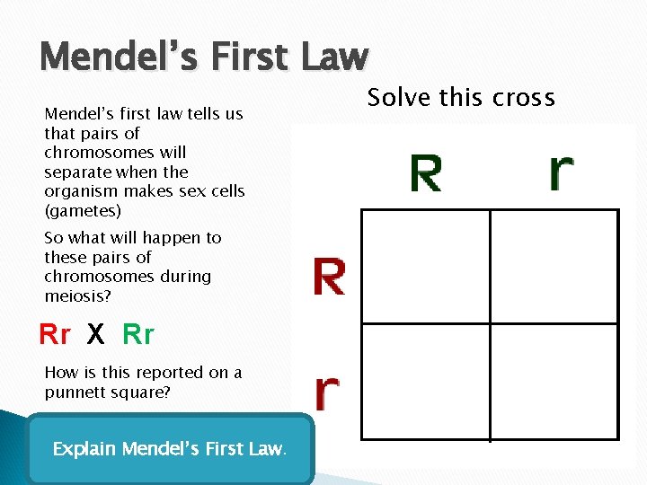 Unit 5 Genetics Lesson 3 Solving Mendelian Genetics