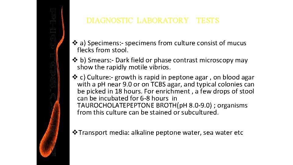 Cholera diagnosis and control DIAGNOSTIC LABORATORY TESTS v