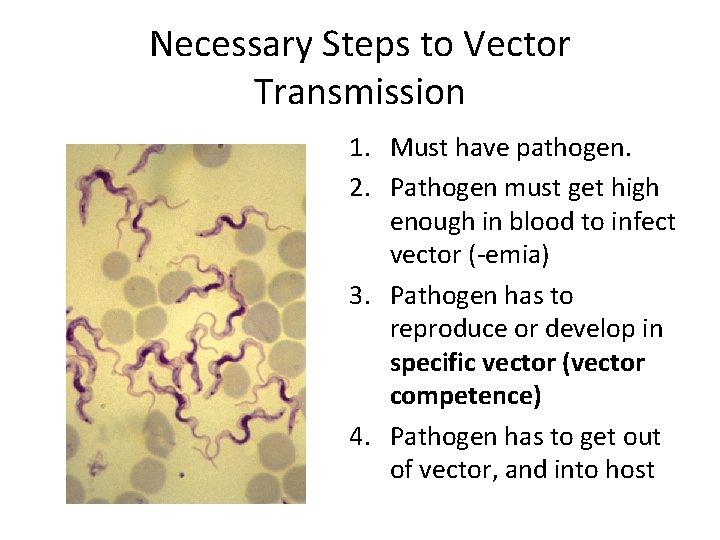 Vector Biology Understanding and Interruption An Introduction to