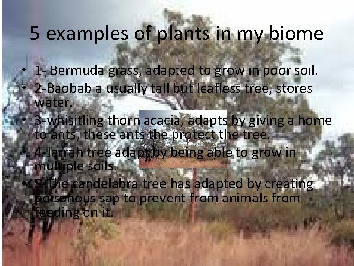 Where is my biome Africa central and North