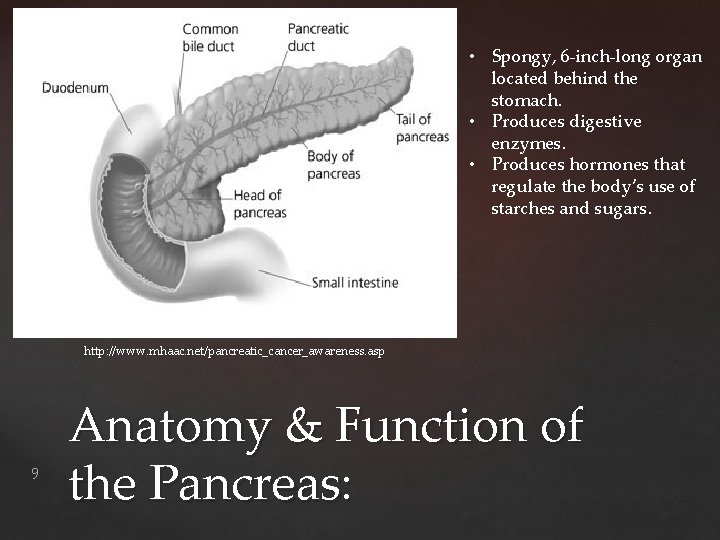 Understanding the Silent Disease Pancreatic Cancer 1 Tara