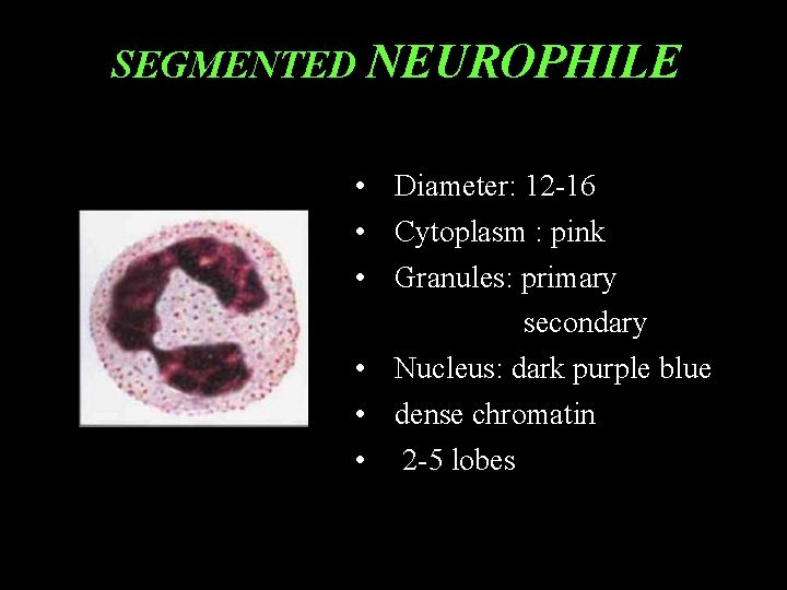 PREPARATION OF BLOOD SMEAR There are three types