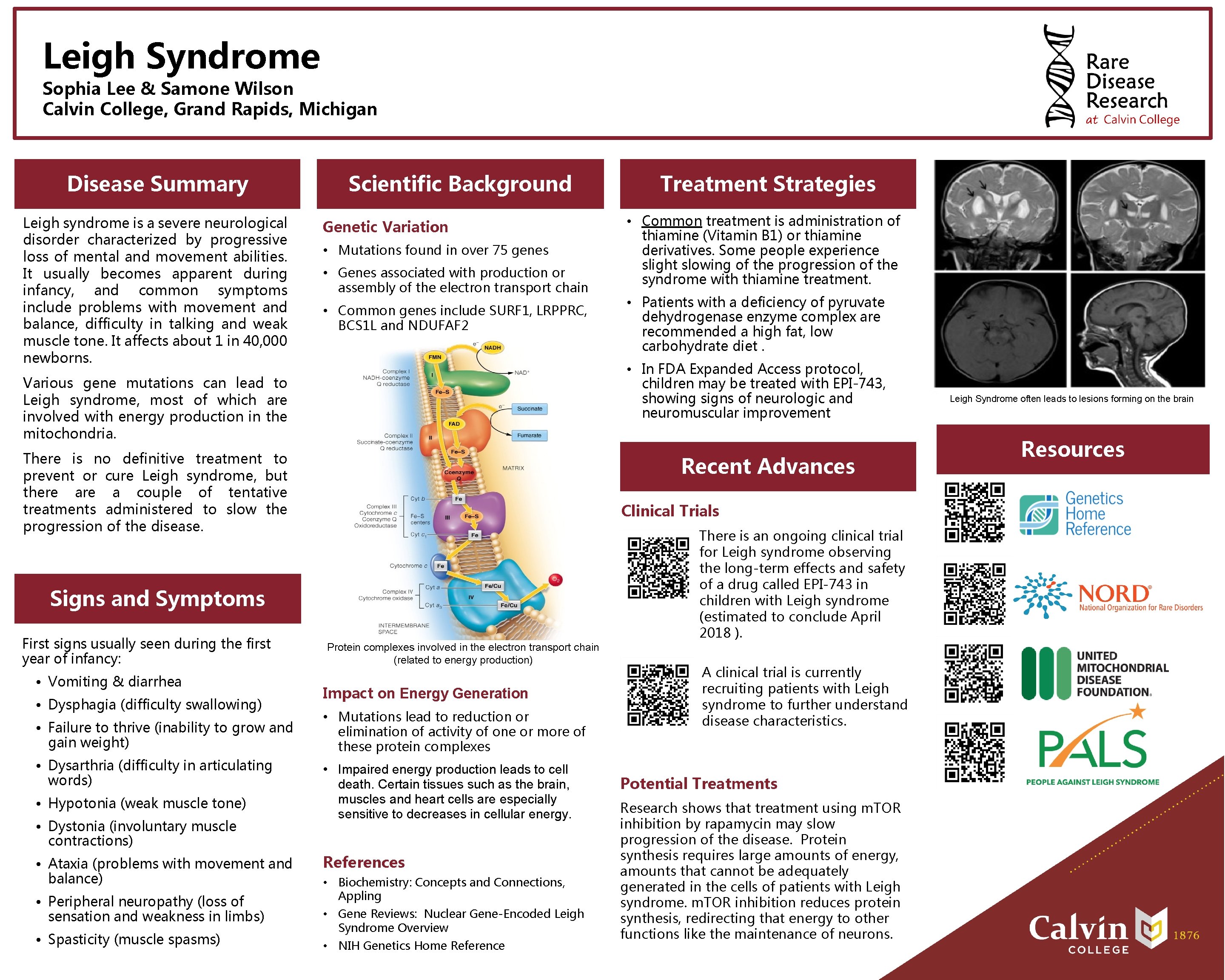 Leigh Syndrome Sophia Lee Samone Wilson Calvin College