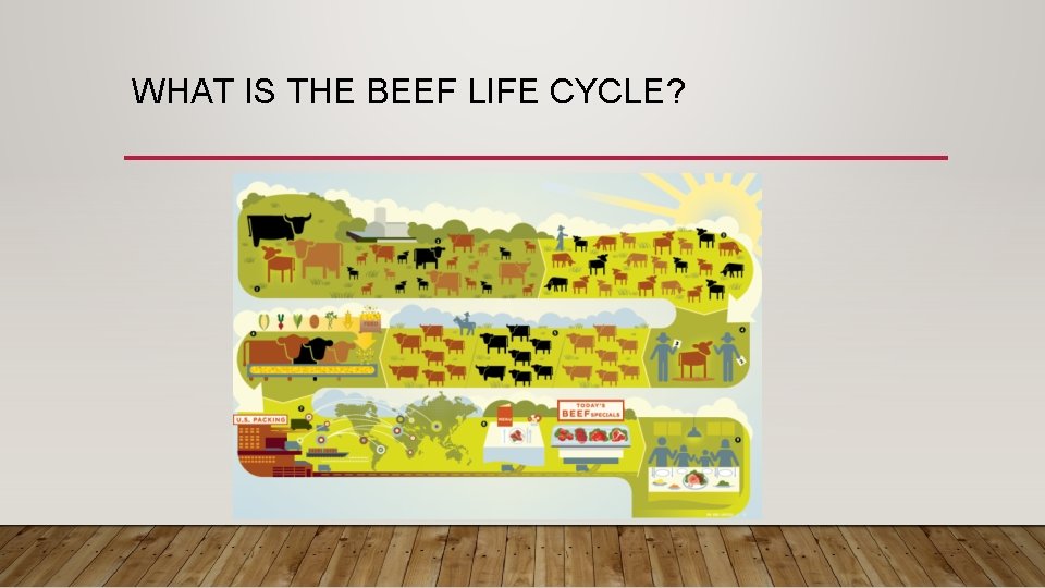 BEEF HOW DOES BEEF GET FROM A CATTLE