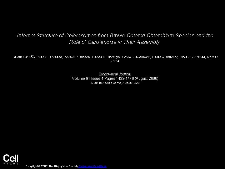 Internal Structure of Chlorosomes from BrownColored Chlorobium Species