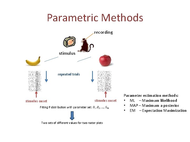 Spike Train Statistics Sabri IPM Review of spike