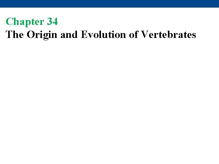 Chapter 34 The Origin and Evolution of Vertebrates