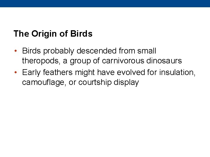 Chapter 34 The Origin and Evolution of Vertebrates