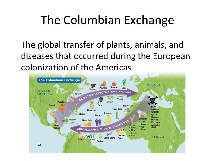 Consequences of the Age of Exploration The Slave