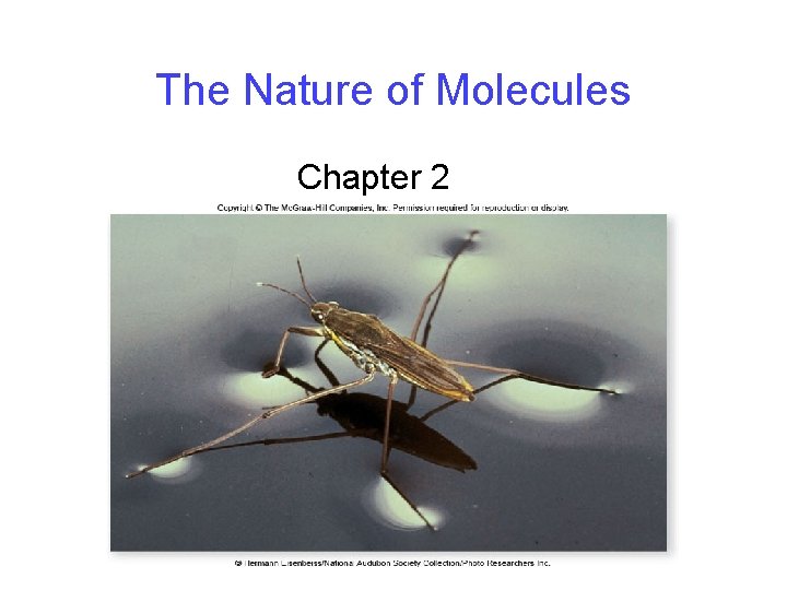 The Nature of Molecules Chapter 2 Atomic Structure