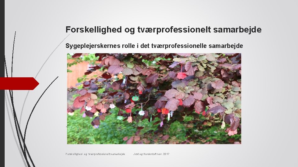 Forskellighed og tvrprofessionelt samarbejde Sygeplejerskernes rolle i det