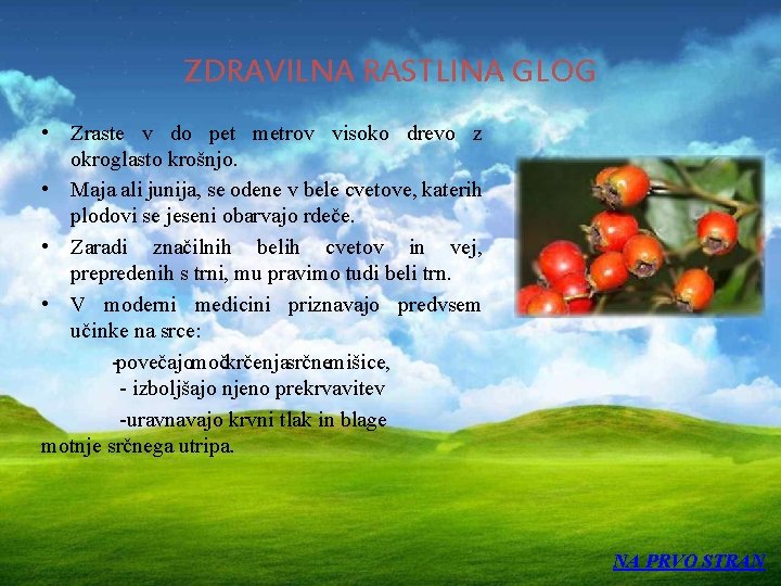 PROJEKTNA NALOGA PRI IZBIRNEM PREDMETU MULTIMEDIJA 5 MEDNARODNI