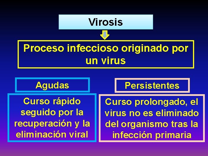 Tema VI Virologa mdica Inmunologa y diagnstico de