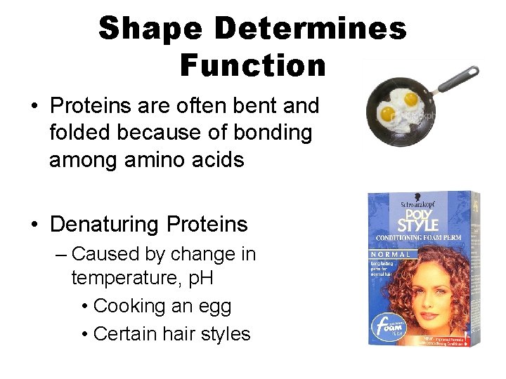 PROTEINS Proteins Composed mainly of Carbon Hydrogen Nitrogen