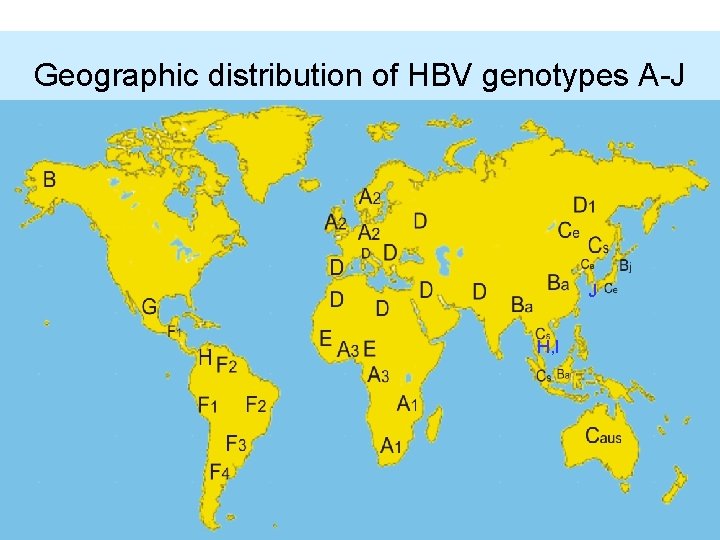 Clinical relevance and public health significance of hepatitis